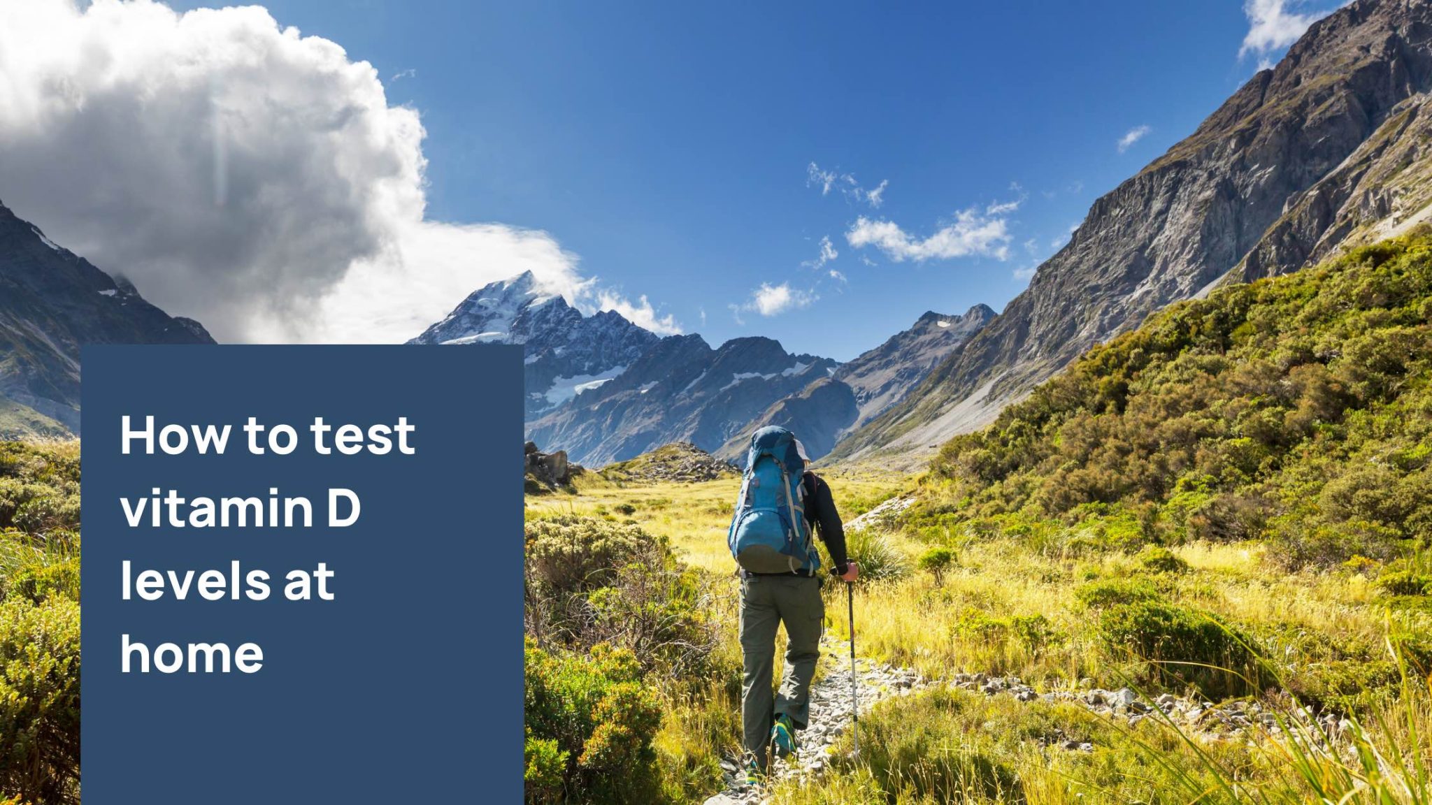 Vitamin D Deficiency Test | Smith Biomed