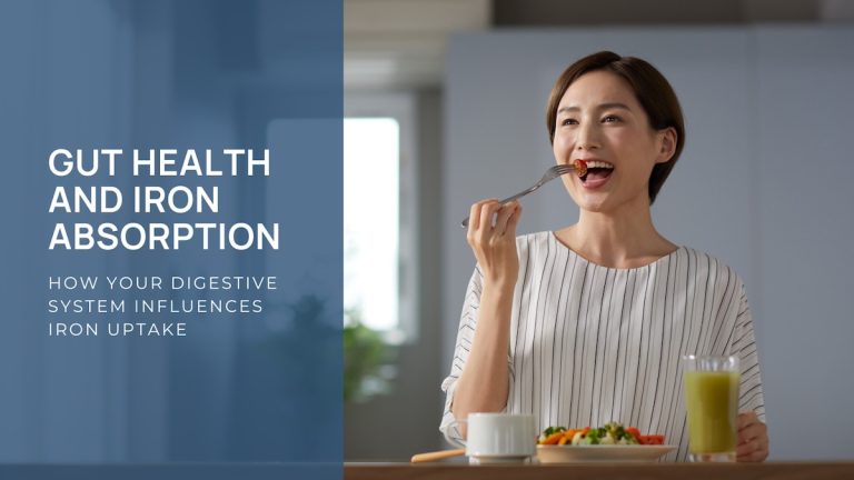 Gut Health and Iron Absorption | Smith Biomed